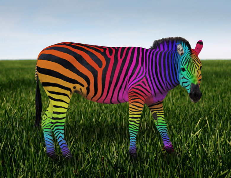 Ook Leiden krijgt regenboogzebra | Sleutelstad