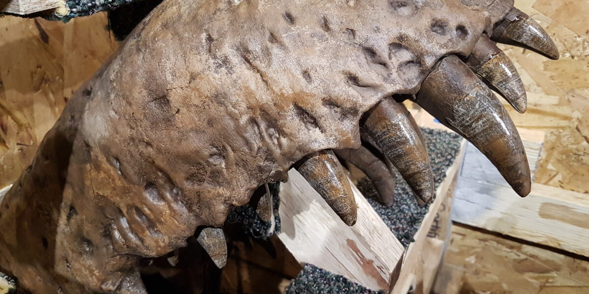Tyrannosaurus Trix in Naturalis aangekomen | Sleutelstad