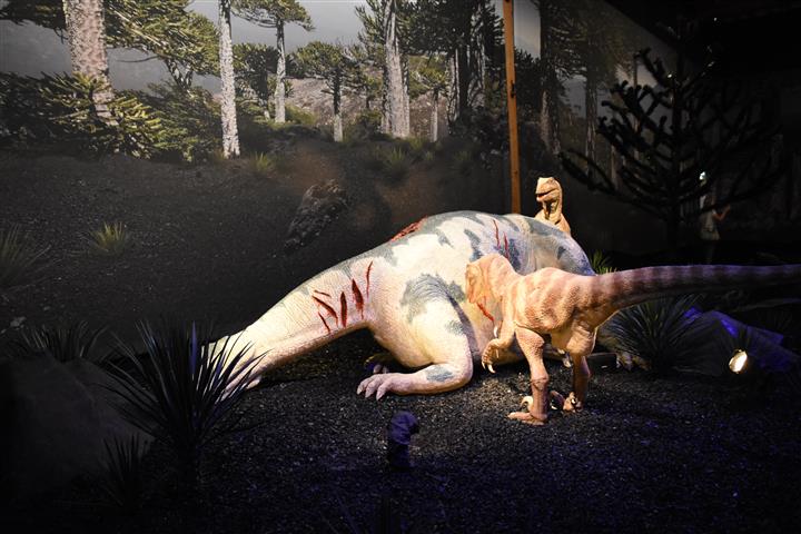 Tyrannosaurus Trix eindelijk te zien voor publiek | Sleutelstad