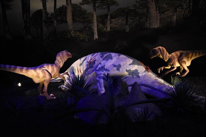 Tyrannosaurus Trix eindelijk te zien voor publiek | Sleutelstad