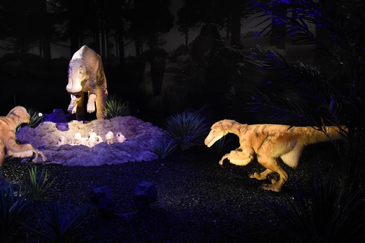 Tyrannosaurus Trix eindelijk te zien voor publiek | Sleutelstad