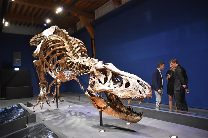 Tyrannosaurus Trix eindelijk te zien voor publiek | Sleutelstad
