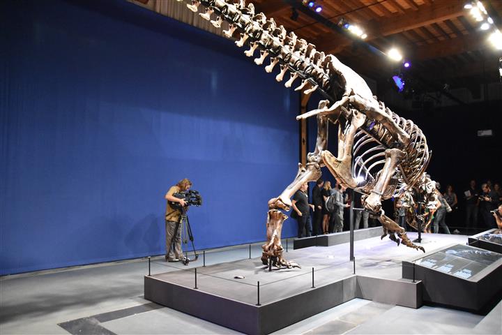 Tyrannosaurus Trix eindelijk te zien voor publiek | Sleutelstad