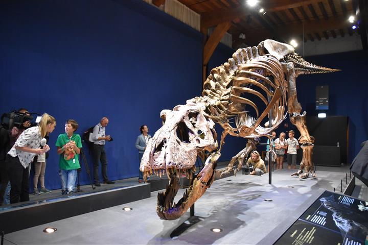 Tyrannosaurus Trix eindelijk te zien voor publiek | Sleutelstad
