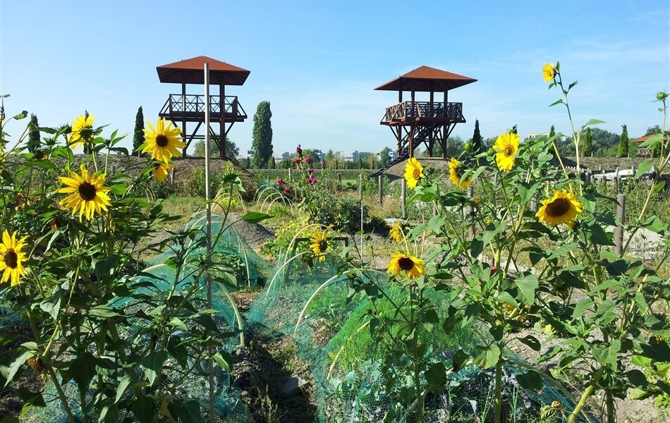 Wijkenfeest in archeologisch park Matilo | Sleutelstad