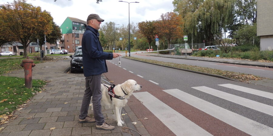 Oogvereniging vraagt aandacht voor witte stok in het verkeer: 'Geef ...