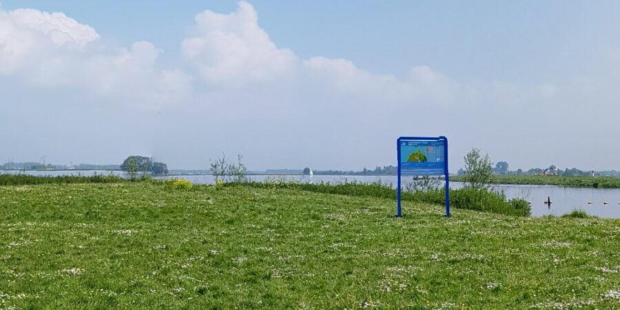 Waarschuwing voor blauwalg bij 't Joppe | Sleutelstad