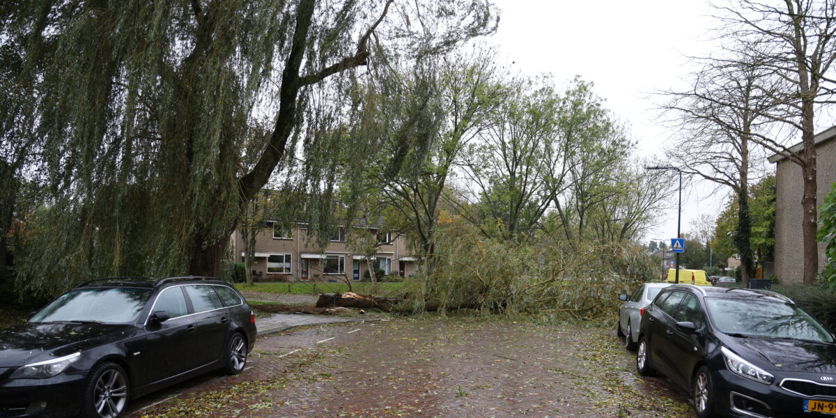 Kans op storm Conall: zware windstoten in middag en avond | Sleutelstad