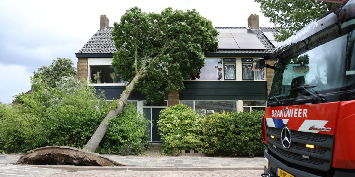 Harde wind blaast boom tegen woning in Leiderdorp | Sleutelstad